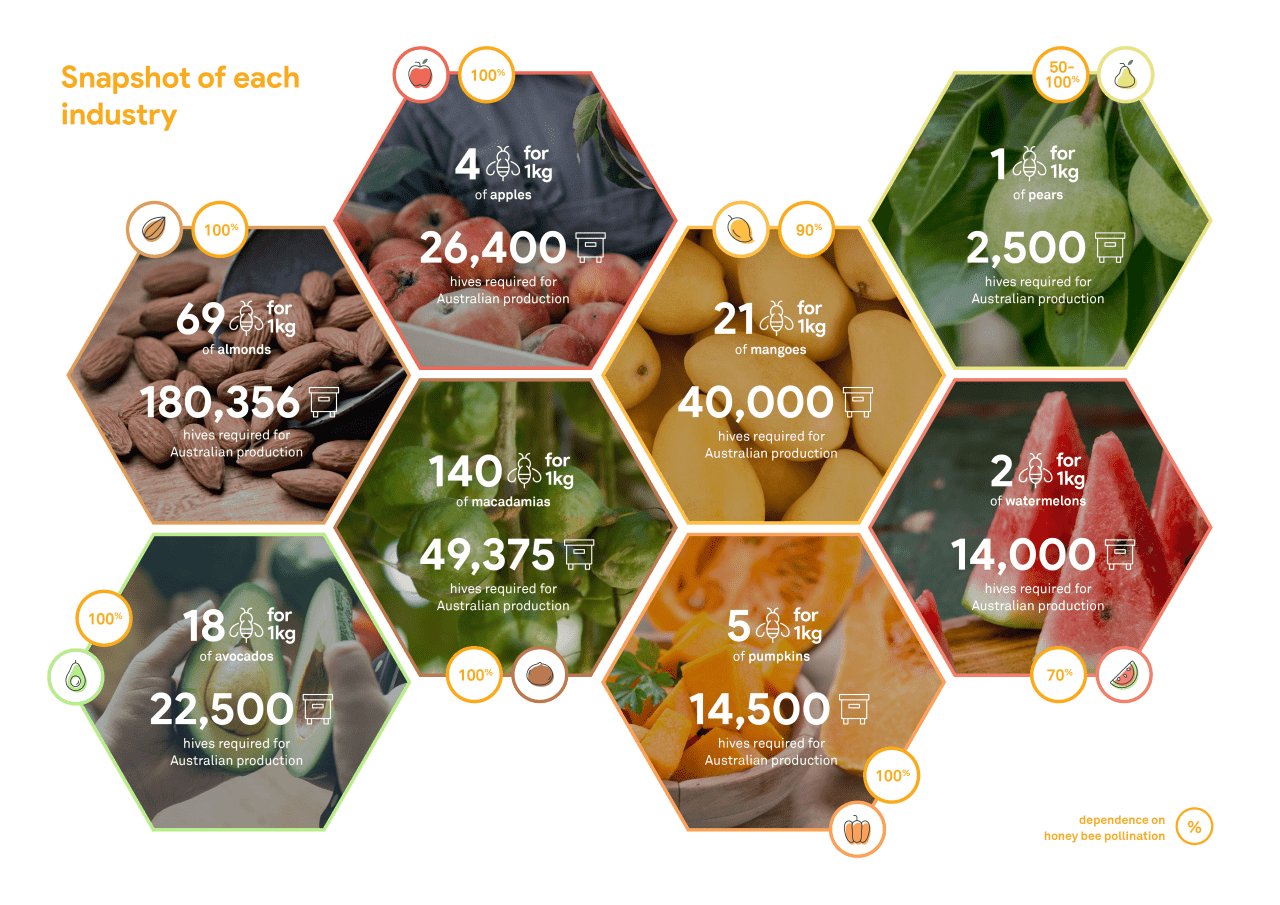 Beekeeping in Qld - Queensland Beekeepers